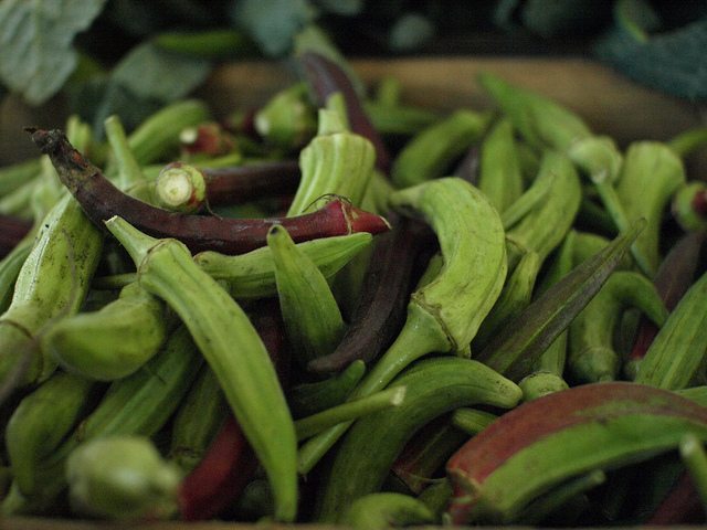 All About Okra - Dash of Wellness