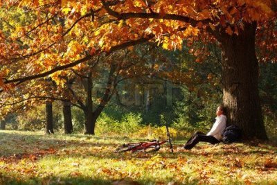 Fall into Relaxation with 10 Zenful Autumn Photos - Dash of Wellness